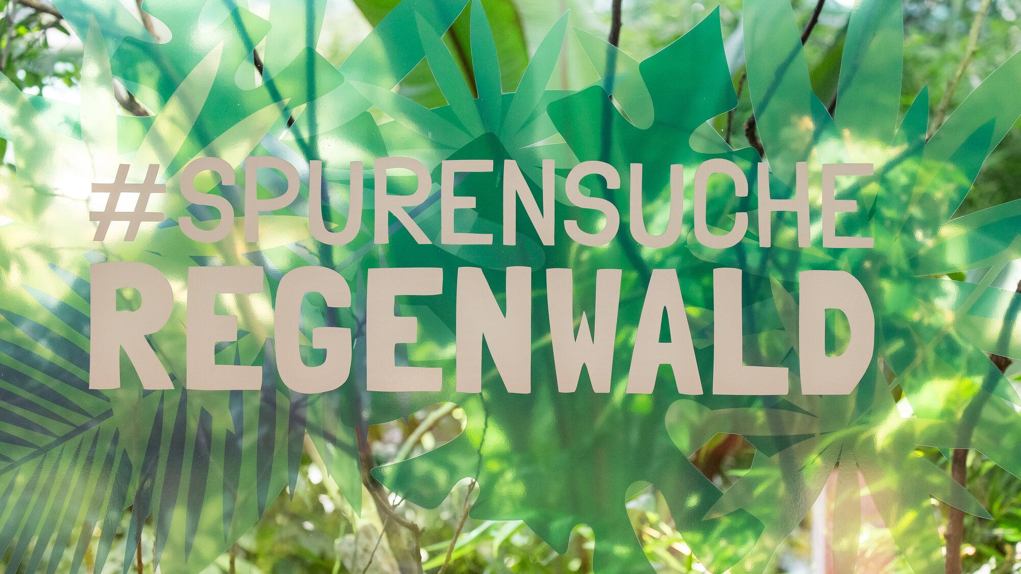 “Traces of the Rainforest” exhibition wins award – Zoo Berlin