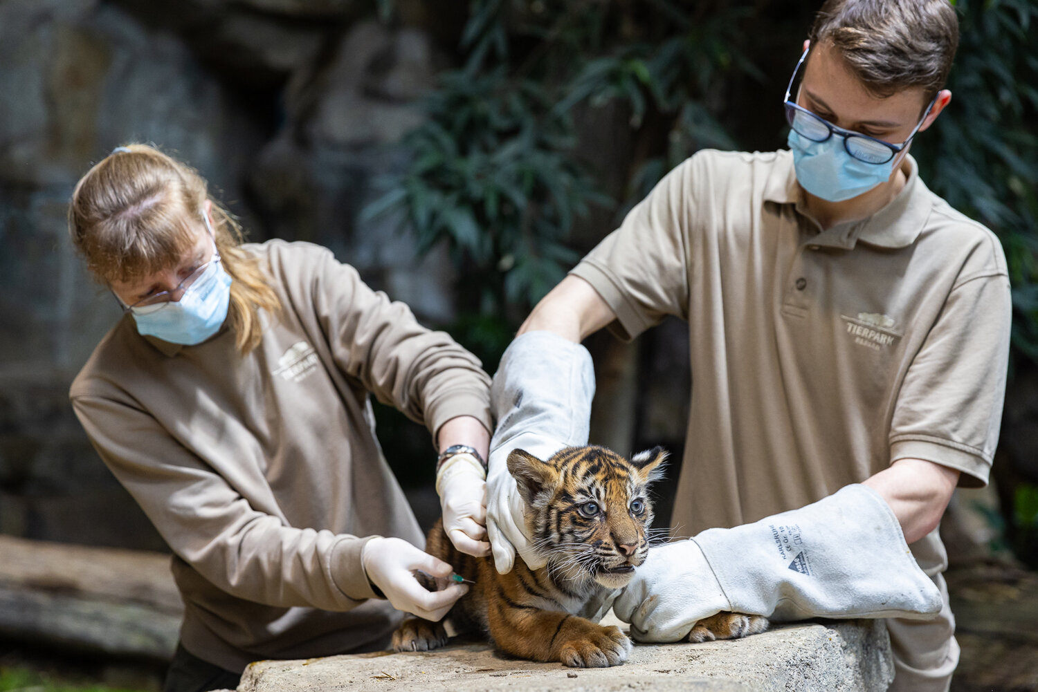Putzmunter und voller Energie – Zoo Berlin